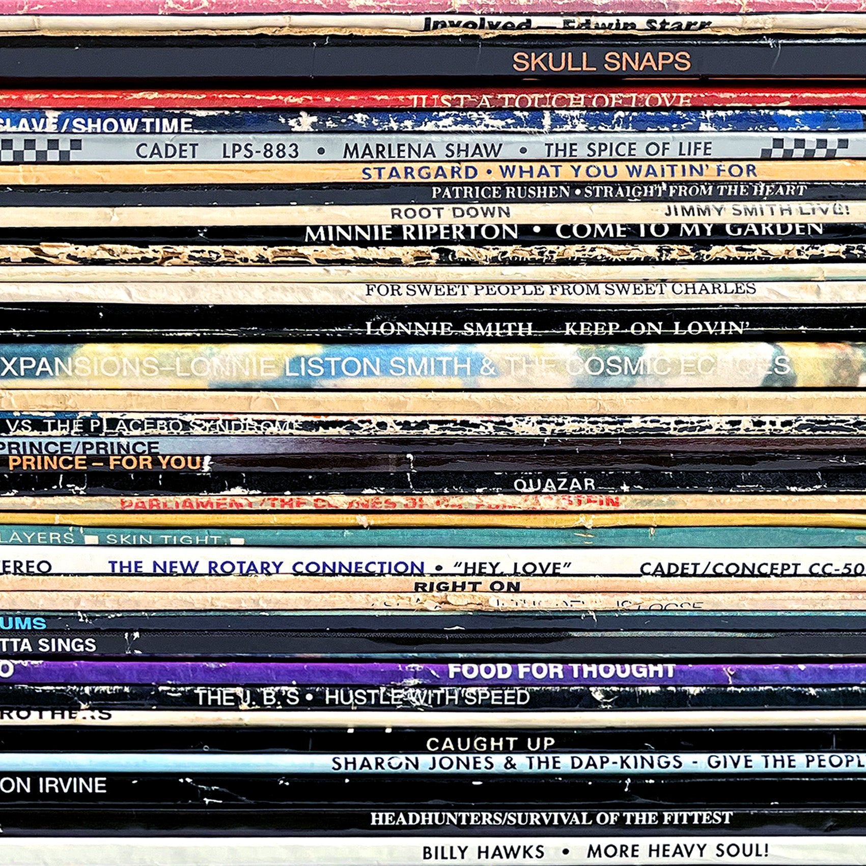 Spruce Moose Exclusive Art Prints – Spruce Moose Bespoke Art Company